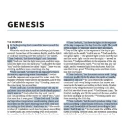 Life Essentials Interactive Study Bible (Hard Cover) - Bible Principles