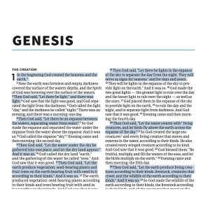 Life Essentials Interactive Study Bible (Hard Cover) - Bible Principles